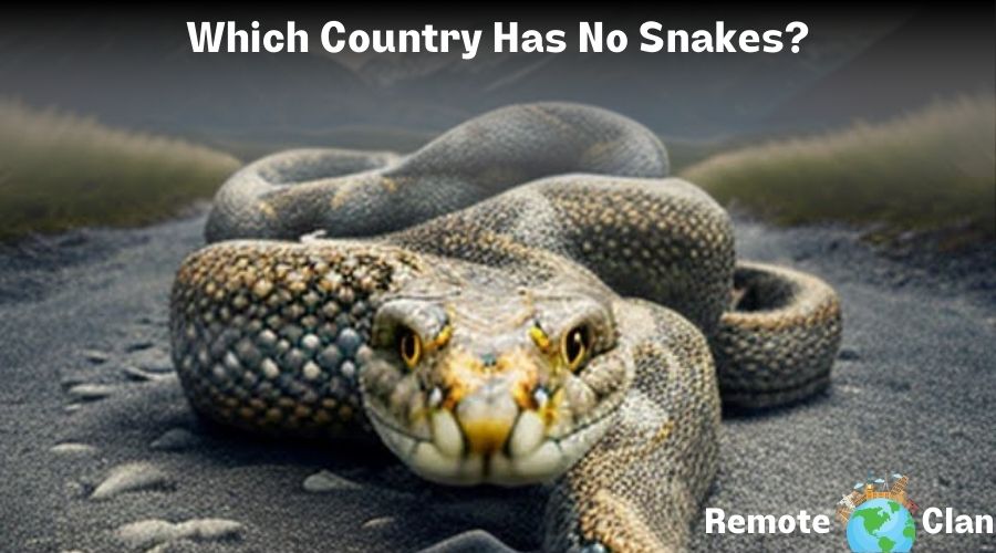Which Country Has No Snakes?